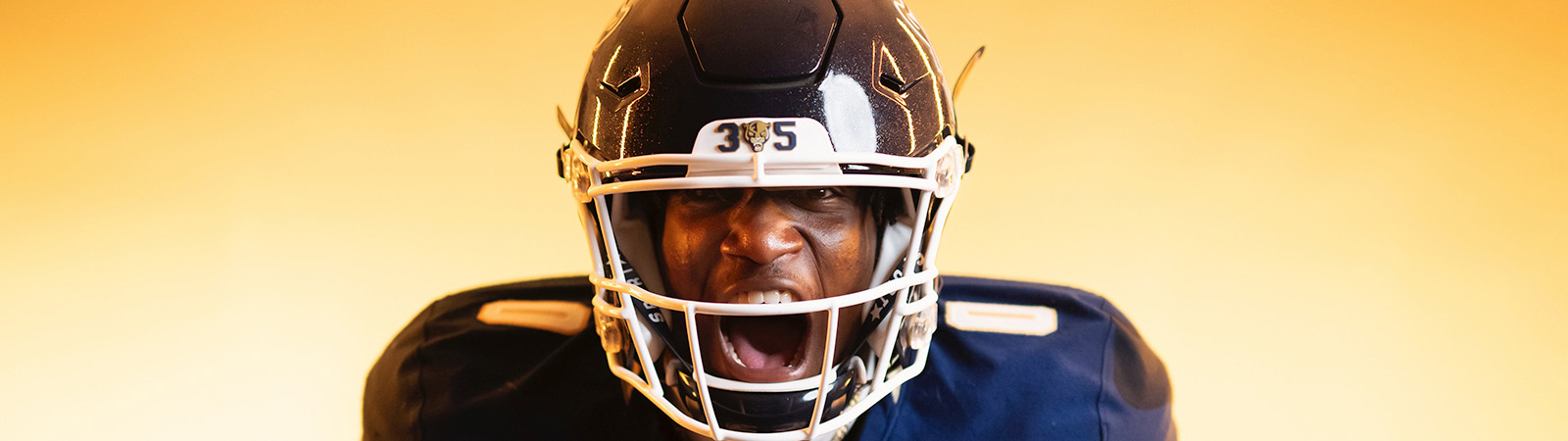 Brand Colors | FIU Brand Style Guide